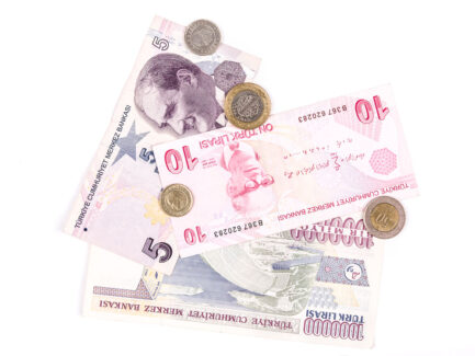 Leftover Currency - Currency names explained: History of money