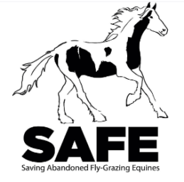 Leftover Currency - Donations to SAFE