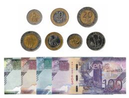 Leftover Currency - Kenyan Shillings currency overview