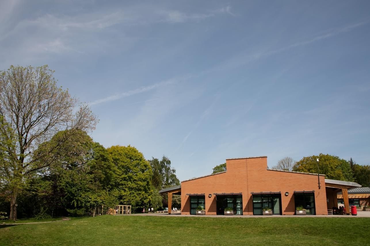 Leftover Currency - Donations to Bollin School PTA