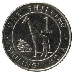 Kenyan Shilling coins - Exchange yours now