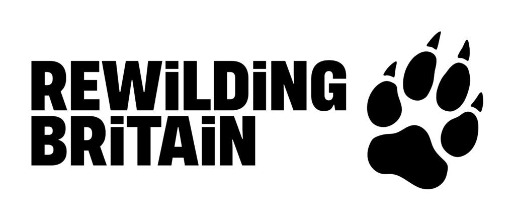 Leftover Currency - Donations to Rewilding Britain