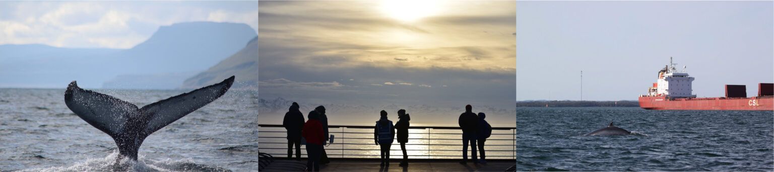 Leftover Currency - Donations to ORCA