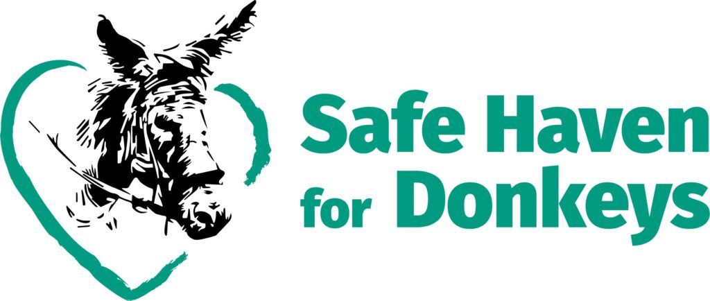 Leftover Currency - Donations to Safe Haven for Donkeys in the Holy Land
