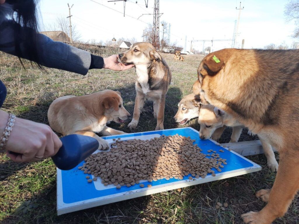 Leftover Currency - Donations to ROLDA UK