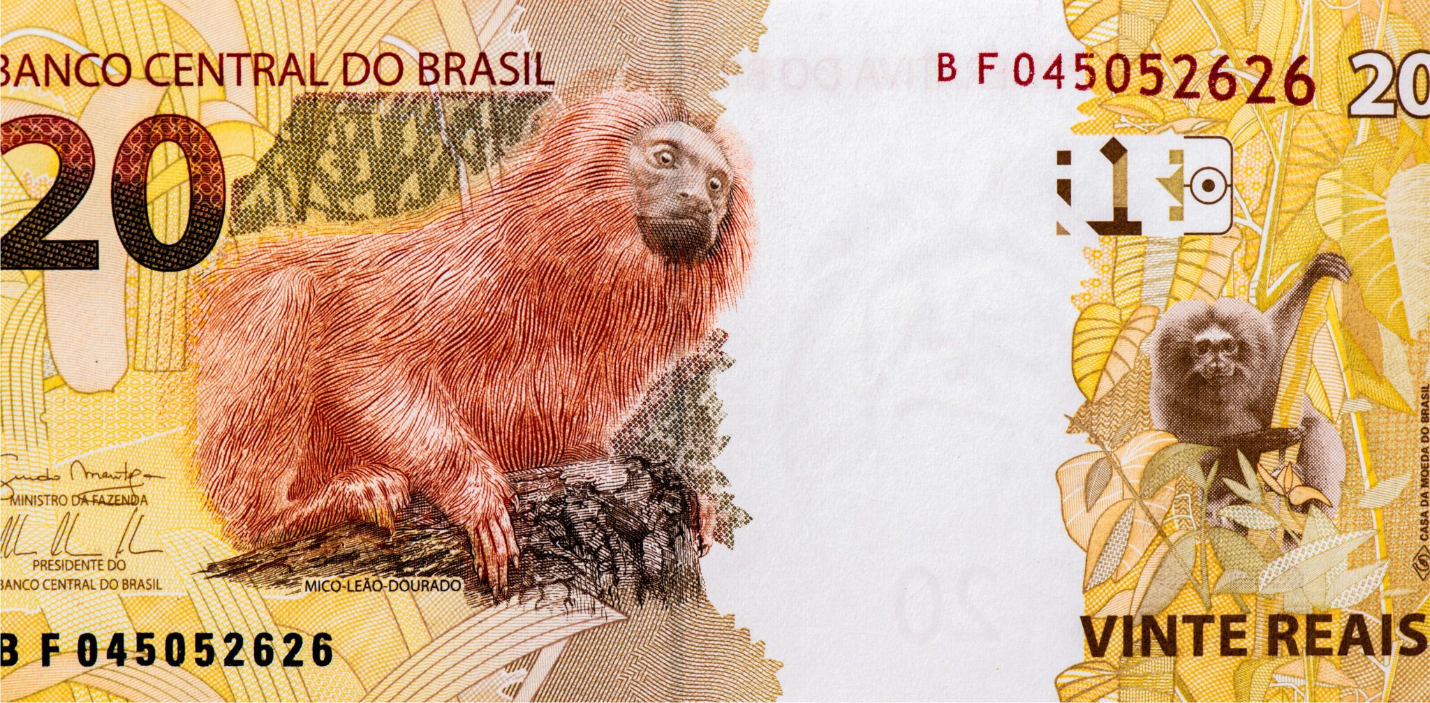 Leftover Currency - Money goes wild: Banknotes with animals on them